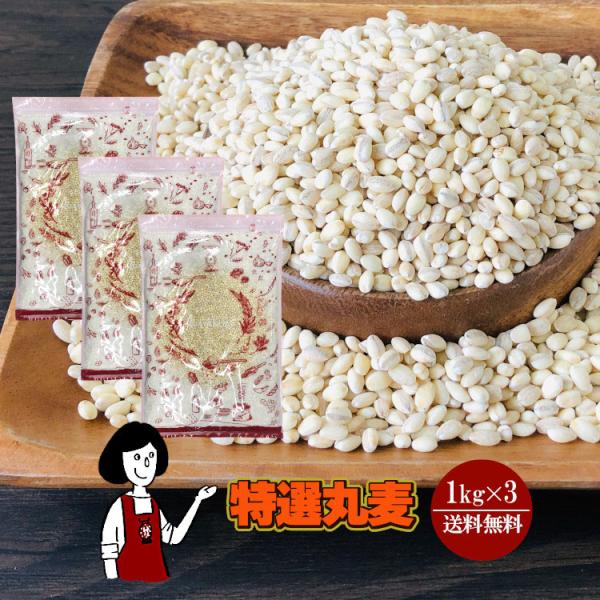 ■内容量：１ｋｇ×３（計３ｋｇ）■原材料：大麦    ■原産地：日本（九州・中国地方）■保存方法：高温多湿の場所を避けて密閉容器などで冷暗所にて保存して下さい。 　　　　　　※夏は冷蔵庫にて保存。     ■賞味期限：2026年9月以降■備...
