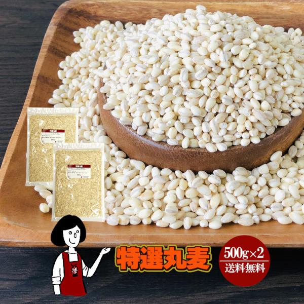 ■内容量：５００ｇ×２（計１ｋｇ）■原材料：大麦    ■原産地：日本（九州・中国地方）■保存方法：高温多湿の場所を避けて密閉容器などで冷暗所にて　　　　　　保存して下さい。 ※夏は冷蔵庫にて保存。    ■賞味期限：2026年9月以降■備...