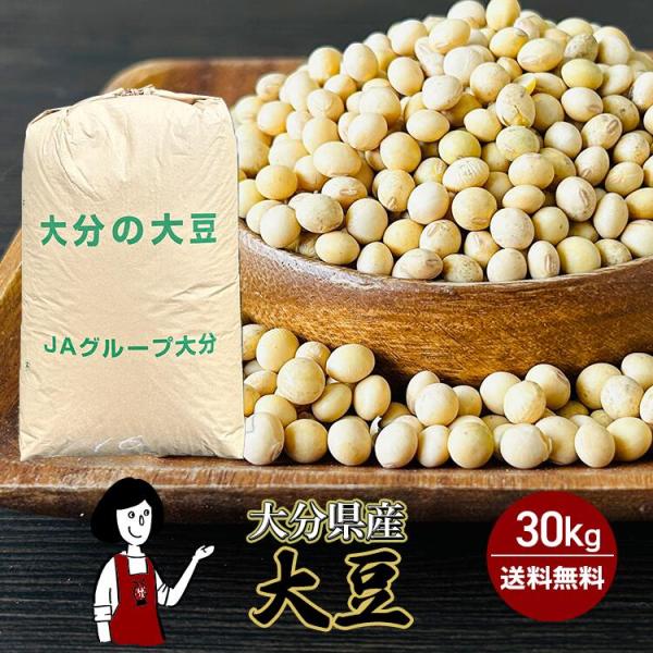■内容量：３０ｋｇ■原材料：大豆■原産地：日本（大分県）■保存方法：高温多湿、直射日光を避けて保存して下さい■詳細：年産/令和6年産、産地/大分県産、品種/ちくしB5号・特定加工用大豆合格、大きさ/小粒、形/球形、へその色/白■アレルギー：...