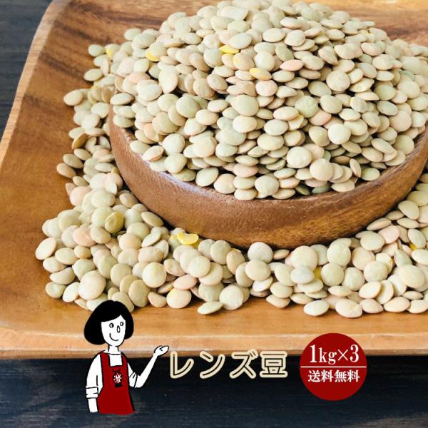 ■内容量：１ｋｇ×3（計３ｋｇ）■原材料：レンズ豆  ■原産地：カナダ産  ■保存方法：高温多湿、直射日光を避けて保存して下さい  ■賞味期限：2027年12月以降■アレルギー：当工場では、小麦、そば、卵、乳成分、落花生、えび、かにを含む製...