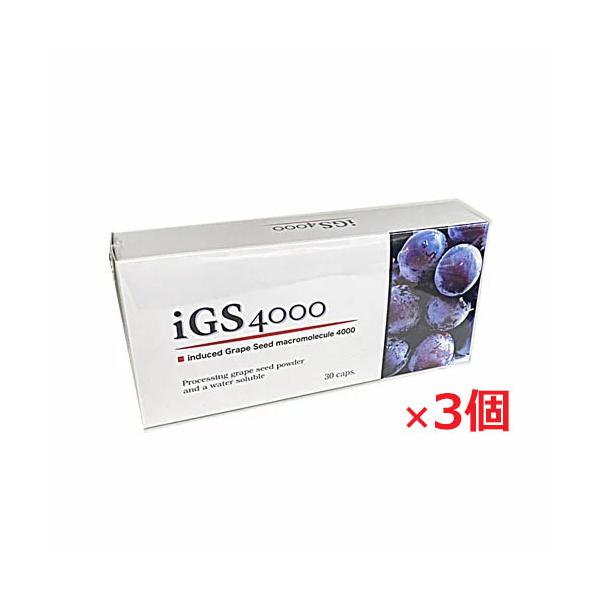 フィジカル iGS4000は真芽ブドウ種子成分をより多く配合しております。さらに、アメリカニンジン抽出物、アルファリポ酸、タマネギ外皮抽出物（ケルセチン）、ニコチン酸アミド（ナイアシン）などGSPPには配合されていない成分を含んでおります。