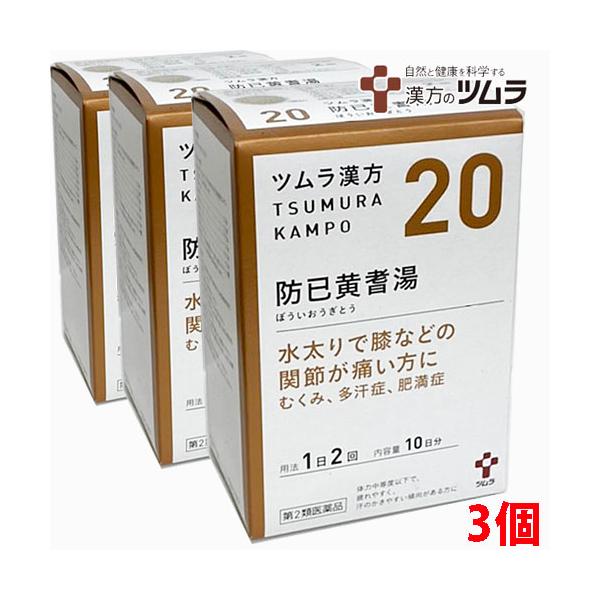 体力中等度以下で、疲れやすく、汗のかきやすい傾向があるものの次の諸症：肥満に伴う関節の腫れや痛み、むくみ、多汗症、肥満症（いわゆる水ぶとり）
