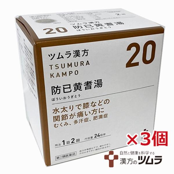体力中等度以下で、疲れやすく、汗のかきやすい傾向があるものの次の諸症：肥満に伴う関節の腫れや痛み、むくみ、多汗症、肥満症（いわゆる水ぶとり）