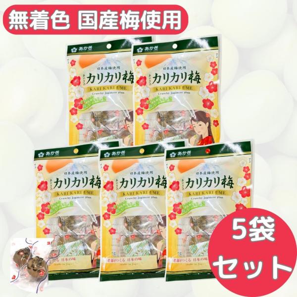 「商品情報」「主な仕様」内容量 : 100g × 5袋、原材料:梅(国産)、漬け原材料〔食塩、醸造酢、酒精、果糖ぶどう液糖、りんご酢〕 酸味料、調味料(アミノ酸等)、乳酸カルシウム、香料、甘味料(アセスルファムK)、みょうばん東日本一、全国...