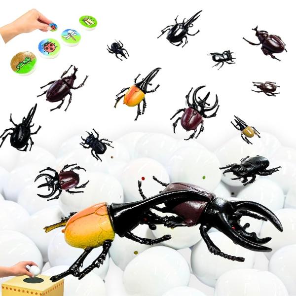 「商品情報」小さな カプセル に広がる大冒険！「 ミニチュア 昆虫 ガチャガチャ 60個分 BOX セット 」です。 子ども たちに大人気の昆虫 フィギュア 入りカプセル玩具 です。 リアル で かわいい 昆虫たちが1カプセルに1体入ってお...