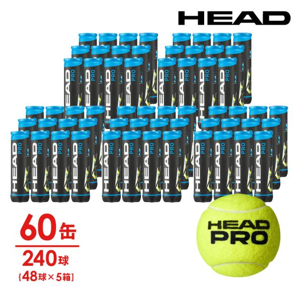 「合宿応援キャンペーン10袋」 HEAD ヘッド 「HEAD PRO ヘッドプロ 4球入り5箱 60缶/240球  571714」テニスボール『即日出荷』