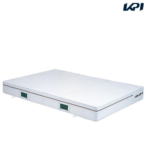 トーエイライト TOEI LIGHT 学校機器設備用品  白・普通１．５×２×０．２カバー G2010A「タイムセール」