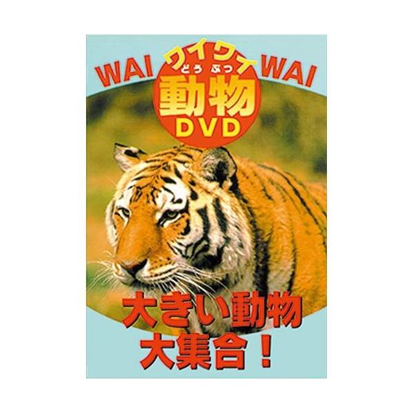 ワイワイ(WAIWAI)DVDシリーズ　動物DVD『大きい動物大集合！』百獣の王ライオンや、動物園の人気者パンダ。みんなが大好きな大きい動物大集合！コアラのキャラクター、ワッツとノリジが楽しく紹介します！＜主な収録種＞ライオン・ゾウ・キリン...