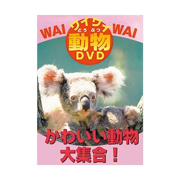 ワイワイ(WAIWAI)DVDシリーズ　動物DVD『かわいい動物大集合！』　ゆかいで楽しい動物の親子、いたずらであまえんぼうの赤ちゃん・・・。かわいい動物大集合！コアラのキャラクター、ワッツとノリジが楽しく紹介します！＜主な収録種＞コアラ・...