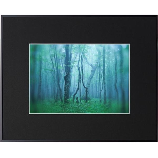 Kenko（ケンコー） 額縁　Ａ４ ギャラリー A4 ブラック AGY-A4-BK ブラック・作品を奥深い印象に演出するアルミ額縁・ギャラリー　 A4　ブラック