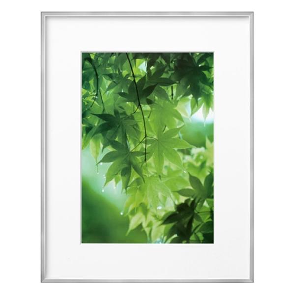 ハクバ写真産業 額縁　Ａ４ FZG01-A4SV シルバー・軽くて割れないＺＥＲＯフレーム・A4サイズ