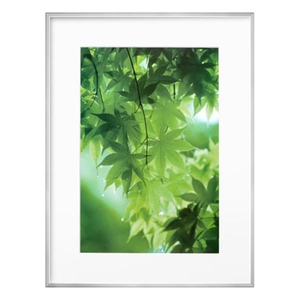 ハクバ写真産業 額縁　Ａ３ノビ FZG01-A3NSV シルバー・軽くて割れないＺＥＲＯフレーム・A3ノビサイズ