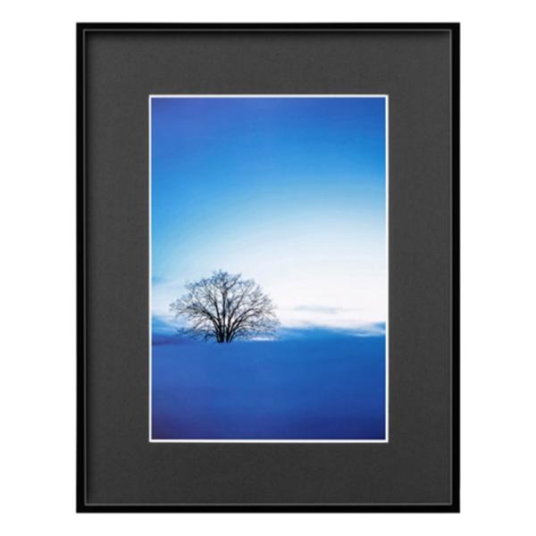 ハクバ写真産業 額縁　Ａ４ FZG01-A4BK ブラック・軽くて割れないＺＥＲＯフレーム・A4サイズ