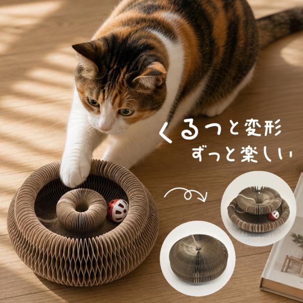 【発売日：2026年06月06日】猫 おもちゃ ペット 一人遊び ストレス解消 爪研ぎ 鈴 ボール------段ボール 省スペース マグネット サークルタイプ 折りたたみ留守番時間も充実する一人遊び鈴入りボールが不規則に動き回り、猫の狩猟本...