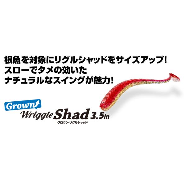 ライトソルト用リグルシャッドを一から設計を見直し開発。雑食性の根魚の中でもベイトフィッシュを捕食する大型の根魚をターゲットとし、魚食性が高い場面で効果を発揮。スローリトリーブだけでなく、カーブフォールでもしっかりとアクションし、低速域から高...