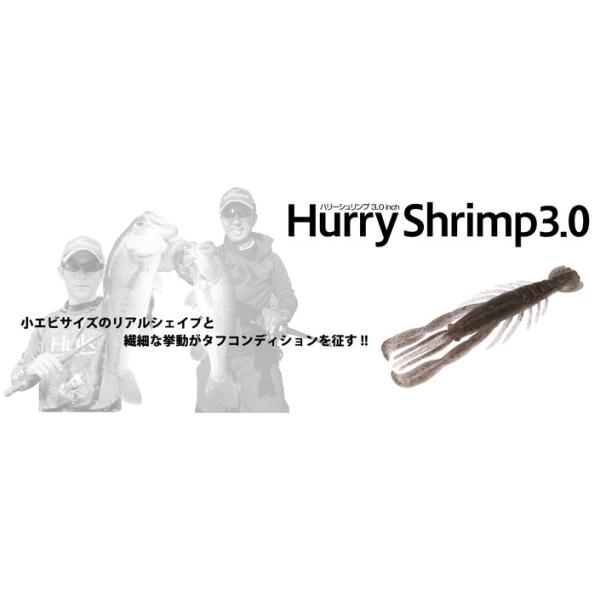 最良のアクションを生み出す硬度と塩の含有量を吟味。腹側は高比重、背中側は中比重とすることでスイミング時の安定性を向上。また、エビ・イカ・ベイトフィッシュの粉末をトリプル配合し、匂いでもバイトを促進します。■レングス：3インチ■入り数：8本