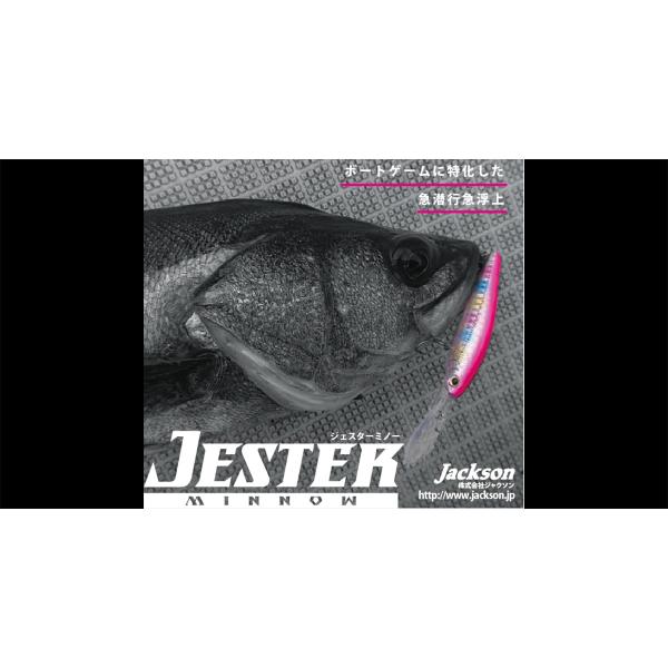 ミノーゲームでは届かないレンジを攻略する為に開発された専用シャッドミノー。急潜行から回収時の浮き上がりの高低差によりシーバスのバイトを誘発。ラインアイを大型化したことで、スナップの通しやすさ、トゥルーチューンのしやすさを実現。固定重心ウェイ...