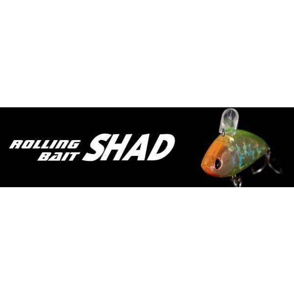 飛行姿勢にまでこだわったボディデザインで飛距離、コントロール性は万全。着水後、フリーフォールでは頭下がりのスパイラルフォールを見せ、テンションフォールではS字を描いて、フォール時にも広くアピールします。泳ぎだしやデッドスロー領域では、ゆった...