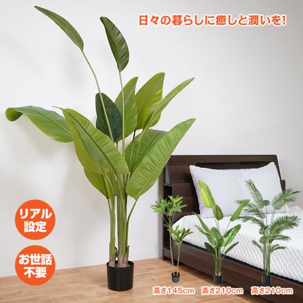 ■日々の暮らしに癒しと潤いを与えてくれる人工観葉植物■フェイクグリーンとは感じない自然な雰囲気■幹や葉などの細部の角度は自由に調整可能■シンボルツリーになる大型サイズ■面倒な水やりや剪定が不要■ペットやお子様がいる家でも飾りやすい■シンプル...