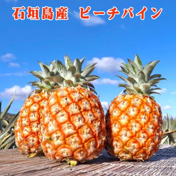 【発売日：2026年04月06日】商品名：石垣島産 ピーチパイン内容量：3玉 2kg〜2.4kg / 6玉 4kg〜4.8kg発送時期：4月〜5月下旬販売元：くば笠屋（クバガサヤ/くばがさや）