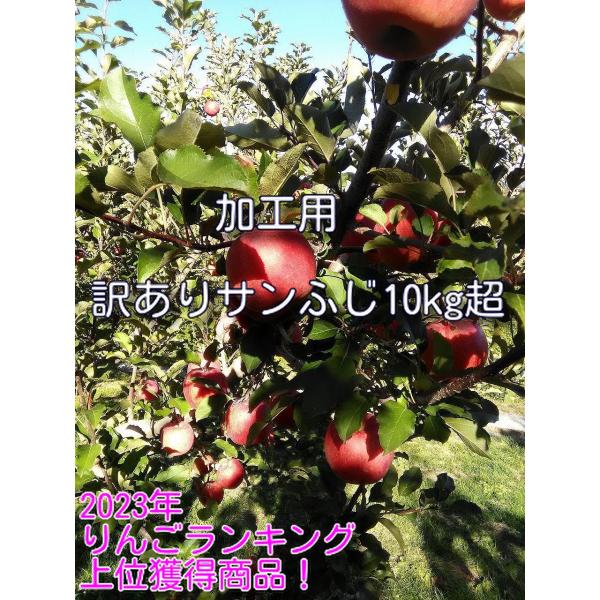 【発売日：2026年11月01日】こちらの商品は2026年11月発送の商品です。注文後「まだ届かない」などの質問をいただきますが1月〜10月に注文された分でも11月からの発送となりますので、予めご確認のほどよろしくお願いします。なお、お支払...