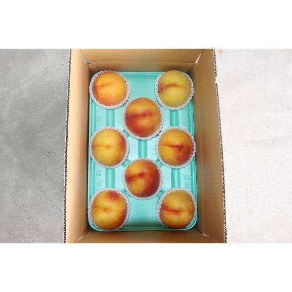 【発売日：2025年08月15日】品種　黄金桃等級　秀入数　8個発送　ヤマト運輸常温発送桃は非常に傷みやすく少しの衝撃で2日ほどで傷みます 細心の注意と養生を行いますが万が一痛みの多い場合は一報いただければと思います 商品到着後すぐにふたを...