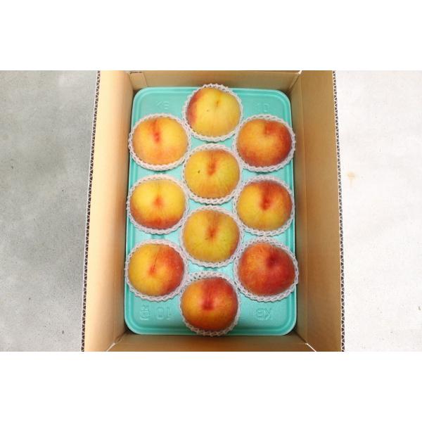 【発売日：2025年08月15日】品種　黄金桃等級　秀入数　10個発送　ヤマト運輸常温発送桃は非常に傷みやすく少しの衝撃で2日ほどで傷みます 細心の注意と養生を行いますが万が一痛みの多い場合は一報いただければと思います 商品到着後すぐにふた...