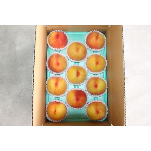 【発売日：2025年08月15日】品種　黄金桃等級　秀入数　11個発送　ヤマト運輸常温発送桃は非常に傷みやすく少しの衝撃で2日ほどで傷みます 細心の注意と養生を行いますが万が一痛みの多い場合は一報いただければと思います 商品到着後すぐにふた...
