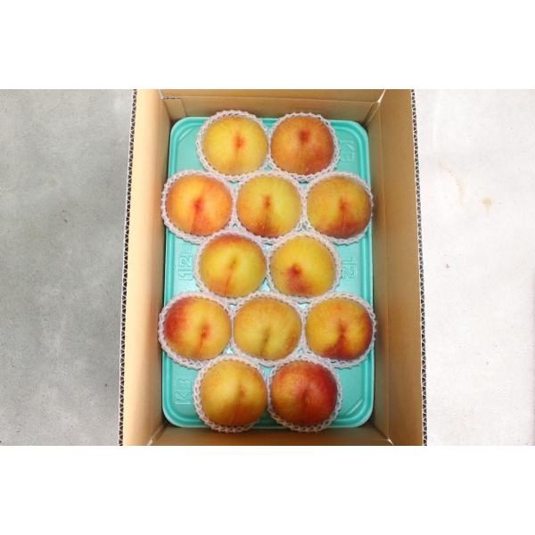 【発売日：2025年08月15日】品種　黄金桃等級　秀入数　12個発送　ヤマト運輸常温発送桃は非常に傷みやすく少しの衝撃で2日ほどで傷みます 細心の注意と養生を行いますが万が一痛みの多い場合は一報いただければと思います 商品到着後すぐにふた...