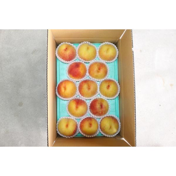 【発売日：2025年08月15日】品種　黄金桃等級　秀入数　13個発送　ヤマト運輸常温発送桃は非常に傷みやすく少しの衝撃で2日ほどで傷みます 細心の注意と養生を行いますが万が一痛みの多い場合は一報いただければと思います 商品到着後すぐにふた...