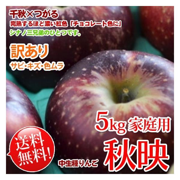 【発売日：2026年09月25日】旬：9月下旬〜約1ヶ月「千秋」と「つがる」の交配種で、果形は円形中玉です。果肉は黄白色でやや硬め、香りが強く、甘みと酸味のバランスがよく、果汁控えめの美味しいリンゴです。5kgご家庭用(サビ・キズあり) 限...
