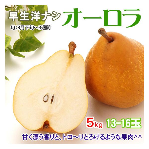 【発売日：2026年08月15日】旬：8月下旬〜約2週間オーロラ【早生の洋ナシ】。硬い実の状態でお届けします。お好みに熟させてからお召し上がりください。オーロラ  5kg※一部地域へは別途送料（/個）がかかりますのでご了承ください。