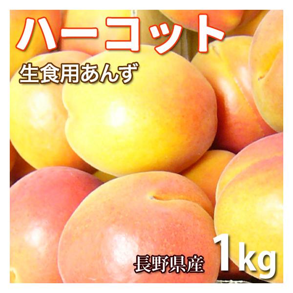 【発売日：2026年06月21日】生食用あんず、ハーコットは酸味が少なく甘く食べやすい人気のあんずです♪1kg皮が薄く、洗って丸ごと食べられます。 あんずは酸味が強いイメージがありますが、ハーコットは酸味が少なく糖度の高い、とても甘いあんず...