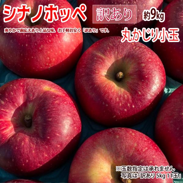 【発売日：2026年11月05日】旬：10月下旬〜11月下旬シナノホッペ 訳あり ＜丸かじり小玉サイズ＞約9kg キズ・サビ・形歪の家庭向きりんご10kg箱にモールドクッションシート二段重ね、またはネットキャップで包みお届けします。やっと流...