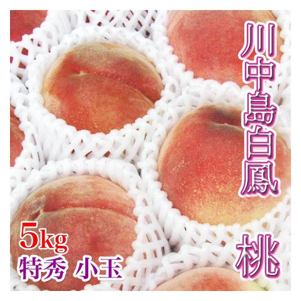 【発売日：2026年07月25日】旬：7月下旬頃〜約2週間川中島白鳳は果肉まで赤く、食感は程よい硬さでスッキリした甘味が特徴の桃です。特秀 5kg 18-22玉 小玉長野県産※一部地域へは別途送料（/個）がかかりますのでご了承ください。