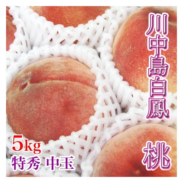 【発売日：2026年07月20日】旬：7月下旬頃〜約2週間川中島白鳳は果肉まで赤く、食感は程よい硬さでスッキリした甘味が特徴の桃です。　特秀 5kg 13-16玉 中玉長野県産※一部地域へは別途送料（/個）がかかりますのでご了承ください。