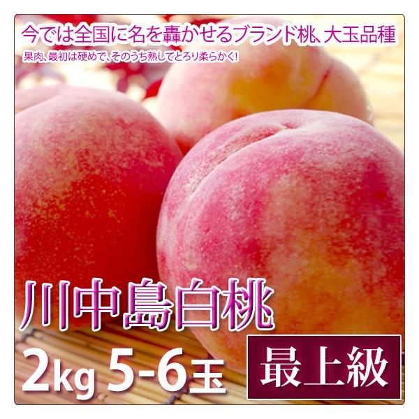 【発売日：2026年08月15日】旬：8月上旬〜約3週間白桃の名産地、長野は、寒暖の差が激しく、厳しい気候環境が”桃”の栽培に適し、農産物の果肉が引き締まり、糖度も高くなります。この品種は硬めの果肉です、ですが常温保存で追熟させるとやわらか...