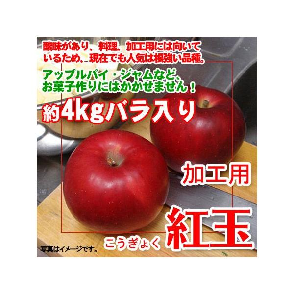 【発売日：2026年09月20日】酸味の強い、りんごの原型ともいわれる品種で、アップルパイなど、お菓子作りには、最適のリンゴです。酸味があり、料理、加工用には向いているため、現在でも人気は根強く、上昇傾向にある昔ながらの品種です。 　約4k...