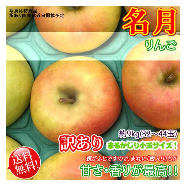 【発売日：2026年11月05日】旬：11月上旬〜12月中旬黄色いりんごには珍しく蜜があるのが特徴で、糖度は15％程度で酸味はなく、果汁は多く食味は良いです。さわやかな味のこのりんご、味わってみてください。約9kgまるかじり　りんご 小玉訳...