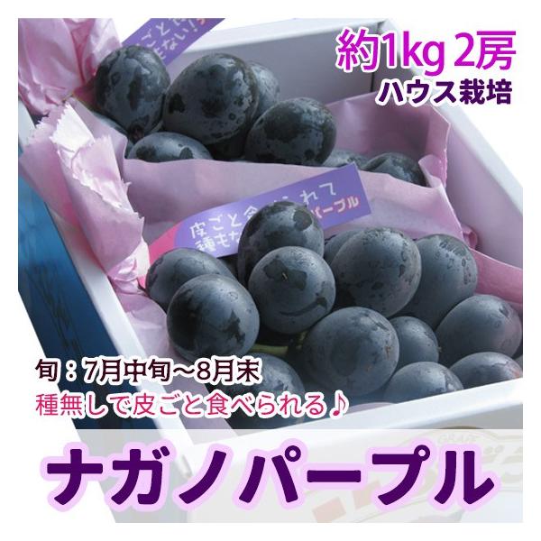 【発売日：2026年07月25日】旬：7月中下旬頃より発送開始予定〜８月末まで※送料無料商品について、一部地域へは別途送料がかかりますのでご了承ください。ナガノパープルは、「巨峰」と「リザマート」という２種類のブドウを交配して育成されました...