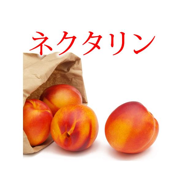 【発売日：2026年07月10日】旬：7月中旬から品種変え8月末常夏の国の鮮やかな花のような真紅の果実ネクタリンが熟し始めます。 日本国内での生産地は長野県が全体の約70％を占めています。果物王国・長野でももっとも盛んに育てられている品種の...