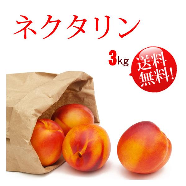 【発売日：2026年07月10日】旬：7月中旬から品種変えながら8月末常夏の国の鮮やかな花のような真紅の果実ネクタリンが熟し始めます。 日本国内での生産地は長野県が全体の約70％を占めています。果物王国・長野でももっとも盛んに育てられている...