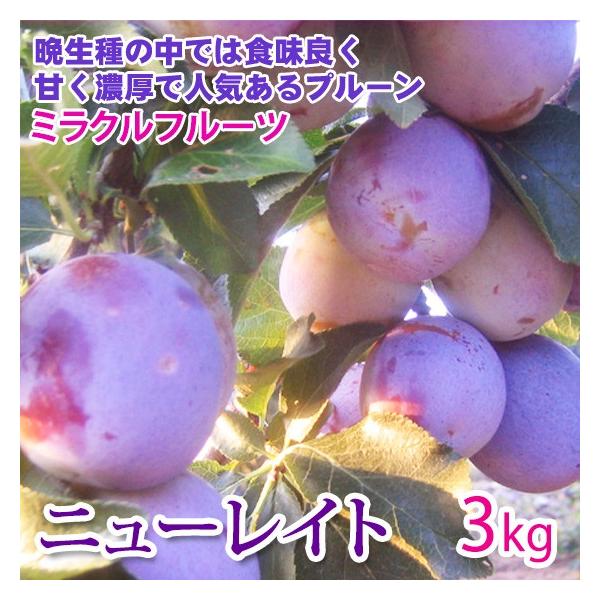 【発売日：2026年09月15日】旬：9月中下旬開始予定〜約2週間3kg 長野県産ニューレイト、晩生種の中では食味良く甘く濃厚で人気あるプルーンです。 果実大きく、秋雨による裂果も比較的少なく安定した品種です。大きさ約40〜48g、シュガー...