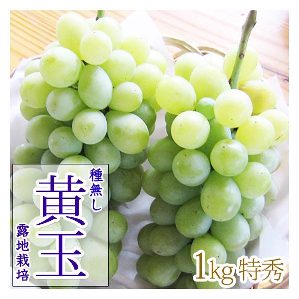 【発売日：2026年09月01日】旬：9月上旬開始予定〜約3週間肉質はかたく、ジャスミンに似た香りもある品種です。最大の特徴は糖度の高さで23〜25度に達して大変甘いブドウに育ちます。1kg 2-3房※一部地域へは別途送料（/個）がかかりま...