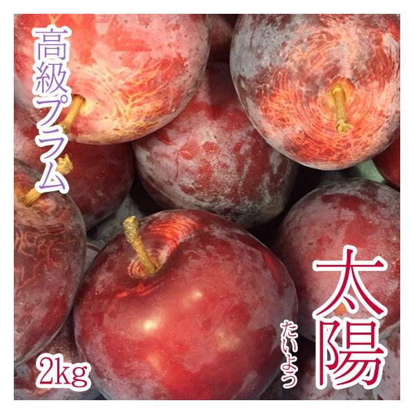 【発売日：2026年08月10日】旬：8月上中旬頃〜約2週間晩生のプラムで一番人気の代表格「太陽」は、140ｇ前後と大きくなり、果皮は濃い赤紫色に、果肉は熟れた白色系でとても引き締まった食感、日持ち性にも優れ追熟させると弾力がでてきて甘さが...