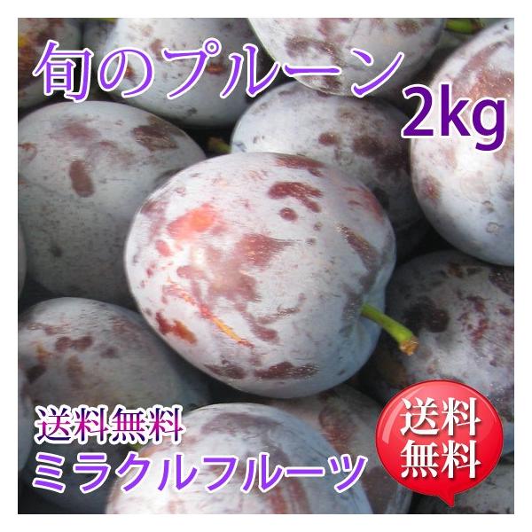 【発売日：2026年07月25日】旬：7月下旬〜８月下旬までの予定種類は前半、オパール・サンタス・アーリーリバー、トレシデー、後半はシュガー、バーバング、スタンレイ、パープルアイ、スコーの中からのお届けになります。品種・玉数のご指定は承れま...
