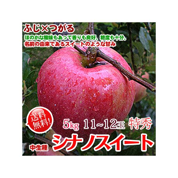 【発売日：2026年10月01日】旬：10月上旬〜11月上旬注目度No.1フルーツです！(日本農業新聞調べ)　長野県ではシナノ三兄弟として売り出している品種のひとつシナノスイート。新しい品種でとても甘くおいしいりんごです。5kg 特秀 大玉...
