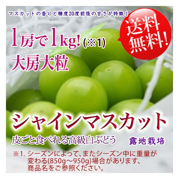 【発売日：2025年09月10日】シャインマスカット1房 シーズン限定販売　大粒大房 約1kg！(※シーズンによっては850g〜950g、商品名をご参考ください)優れたマスカット香と20度前後に達する糖度が特徴。長野県産※送料無料商品につい...