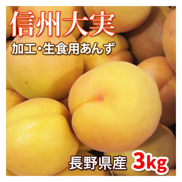 【発売日：2026年06月30日】【７月上中旬頃発送開始予定。】いよいよ“あんず”の季節がやってきました！販売期間が短いのでお見逃しのないようにご注意ください＾＾！信州大実・・・果皮、果肉とも橙黄色で外観は美しい。糖度10度位と新潟大実より...