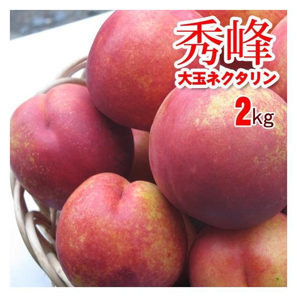 【発売日：2026年08月25日】旬：9月上旬〜約2週間ネクタリンの晩成種である秀峰ネクタリン。大玉晩成種でくだものはもちろん、全てにおいて当然ながら、樹上でだれよりもじっくり熟期を迎える分、甘酸の調和良く果汁多いため食味は濃厚です。色は落...